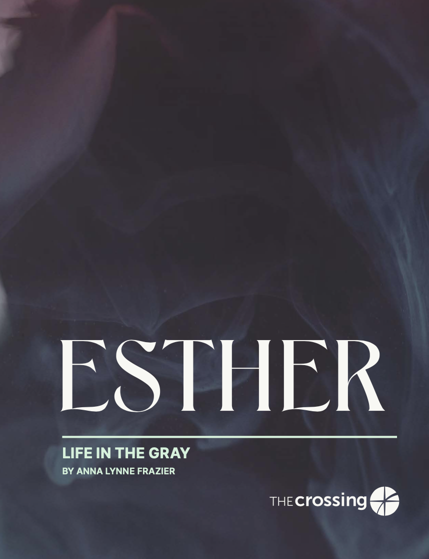Esther: Life in the Gray Devotional Workbook